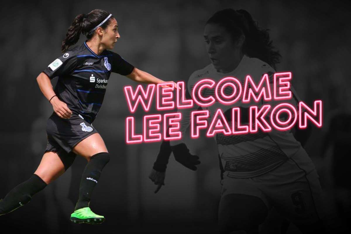 Wanderers sign Israeli forward Lee Falkon - Western Sydney Wanderers