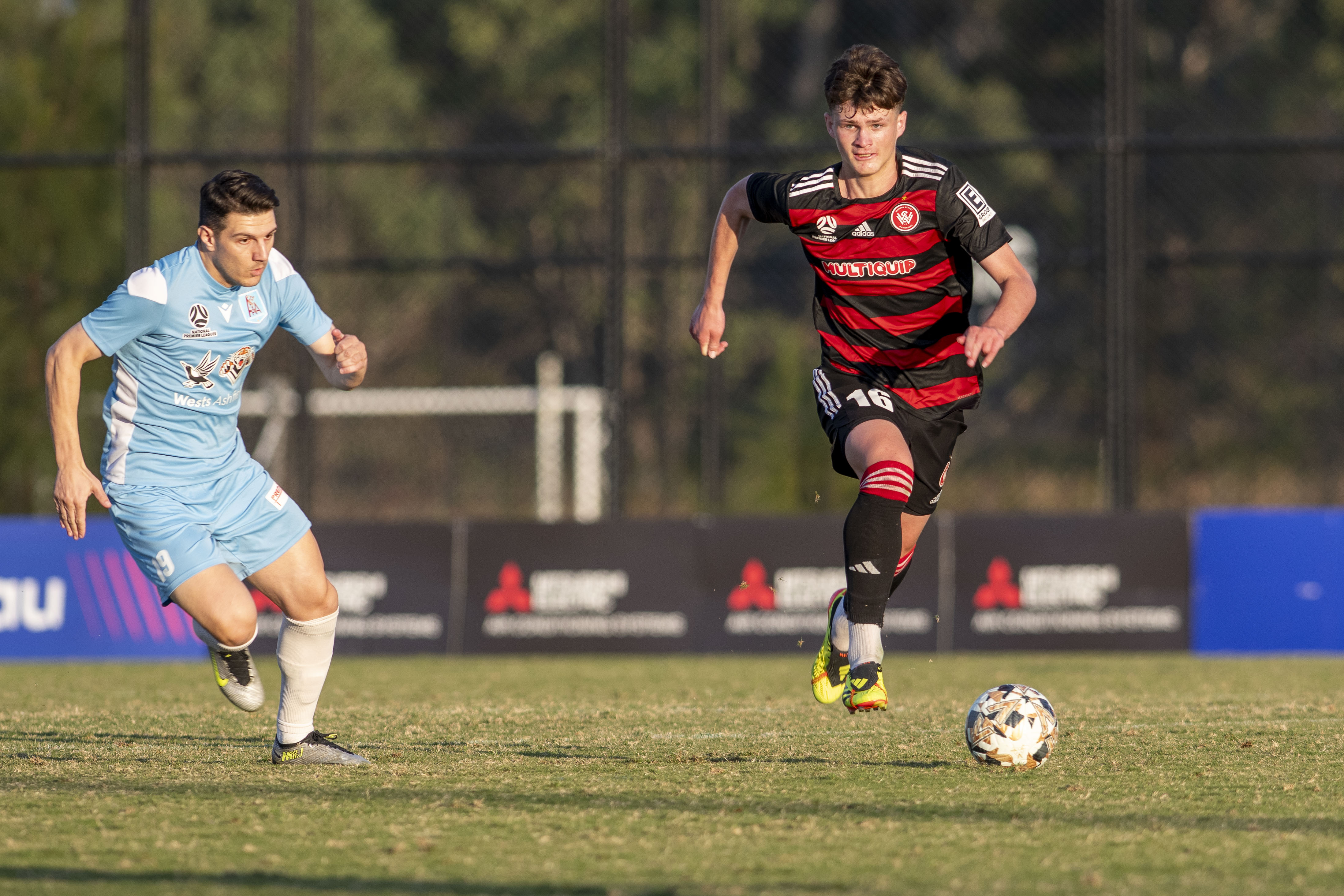 NPL Wrap: Wanderers winning streak ends against APIA - Western Sydney ...