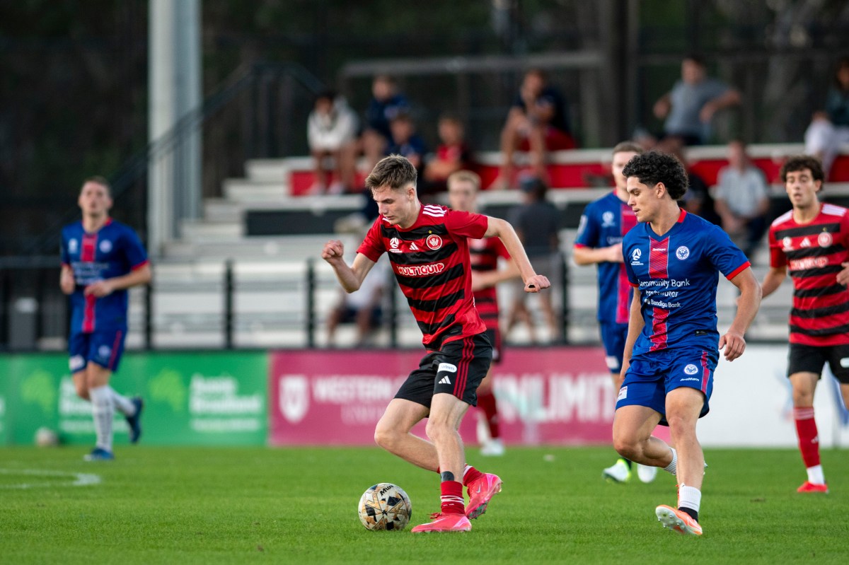 NPL 1 Wrap: Wanderers dominant in victory over Manly United - Western ...